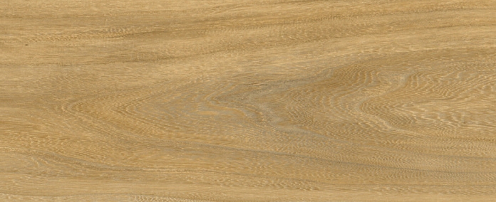 Moduleo Transform - Baltic Maple 28230 | LaSamba.cz